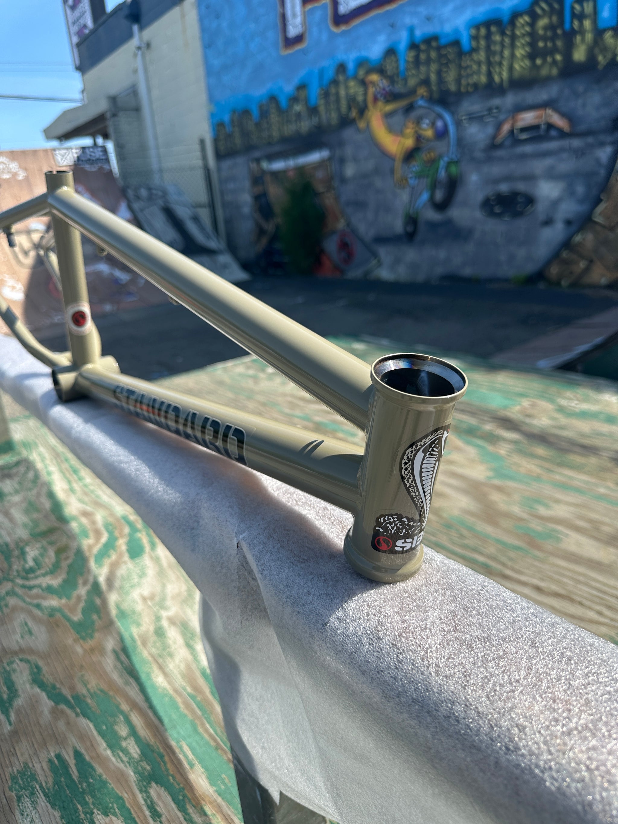 STANDARD BYKE 22" FRAME – Powers Bike Shop